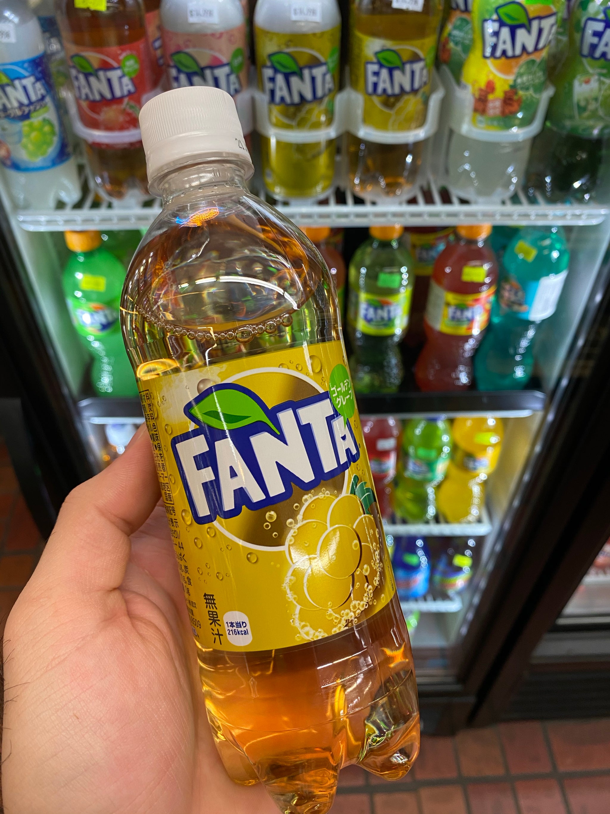 Fanta Golden Grape – Sunny Hills Exotics